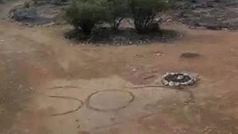 Australian woman survives 12 days in outback after finding watering ...