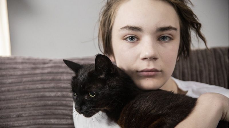 Cat of The Year Awards: Inspiring tails of the UK's finest felines ...