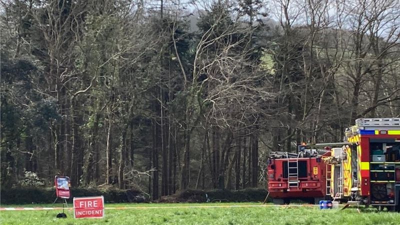 Royal Navy jet crash in Cornwall: Engine failure blamed - BBC News