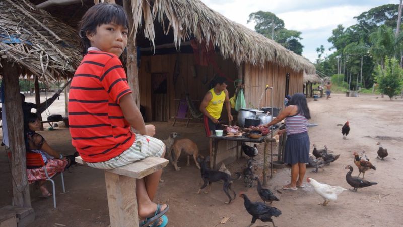 Brazil's indigenous leaders risk their lives fighting for survival ...