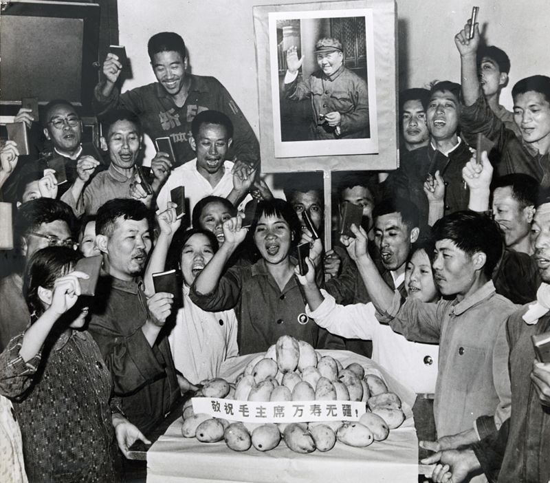 China's curious cult of the mango - BBC News