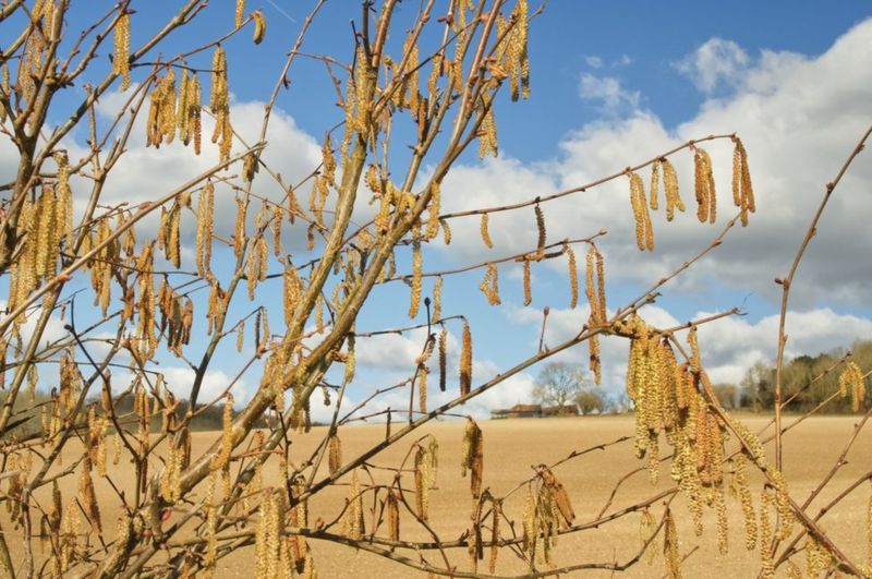 England's Big Picture: 27 February - 5 March 2023 - BBC News