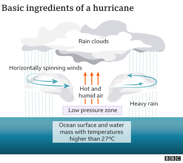 Hurricanes: A guide to the world's deadliest storms - BBC News