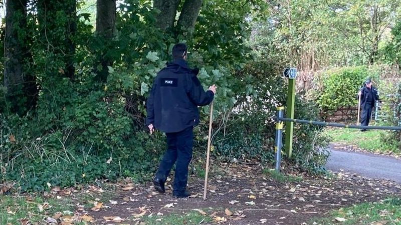 North Somerset 'gimp' sightings: Man arrested in Cleeve - BBC News