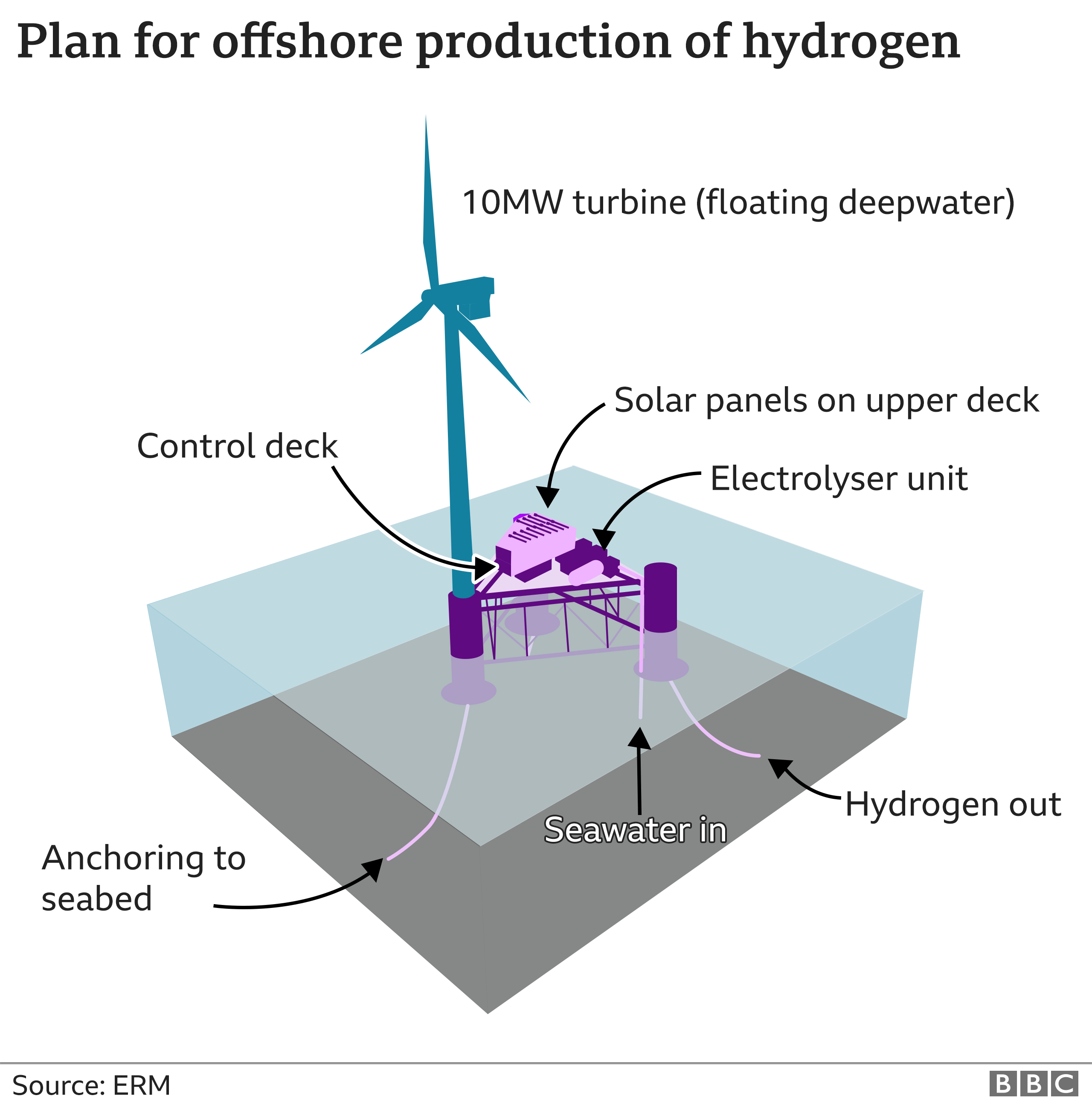 The global race to produce hydrogen offshore - BBC News