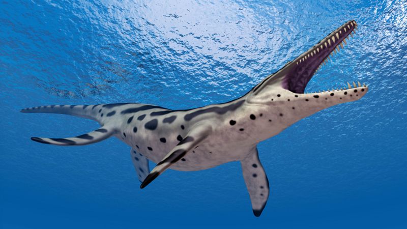 Pliosaur: David Attenborough discovers giant skull of ancient sea ...