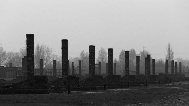 The true story behind denying the Holocaust - BBC News
