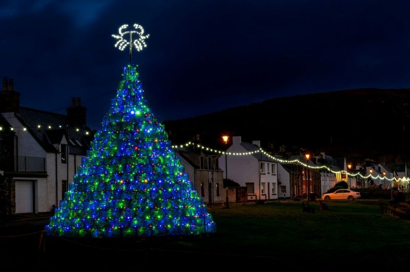 In pictures: Scotland's amazing Christmas trees - BBC News