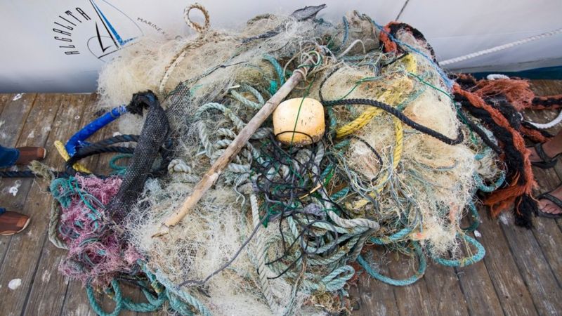 Is Netflix's Seaspiracy film right about fishing damaging oceans? - BBC ...