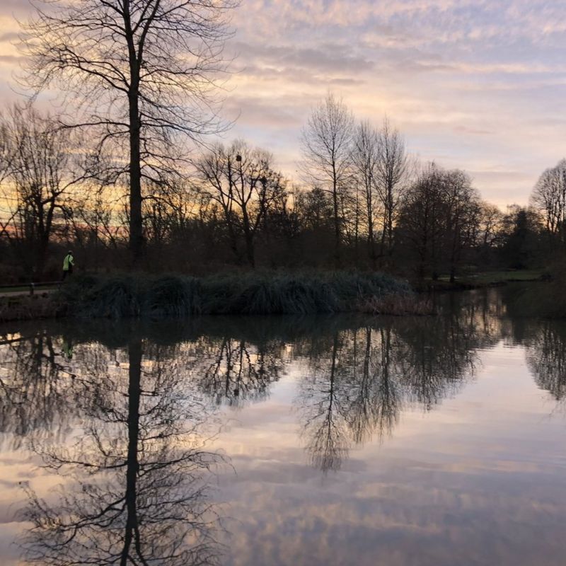 England's Big Picture: 14 - 20 January - BBC News