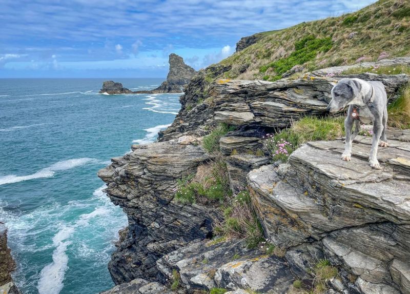 England's Big Picture: 30 May - 5 June 2022 - BBC News