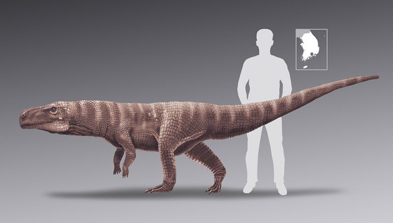 Fossil tracks left by an ancient crocodile that 'ran like an ostrich ...