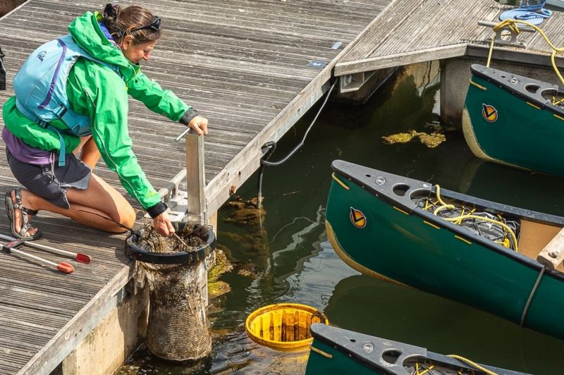 Whitehaven Harbour secures seventh 'sea bin' to capture plastic waste ...