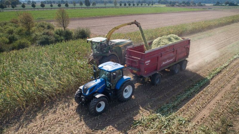 Equinox v equilux - what's the difference? - BBC News