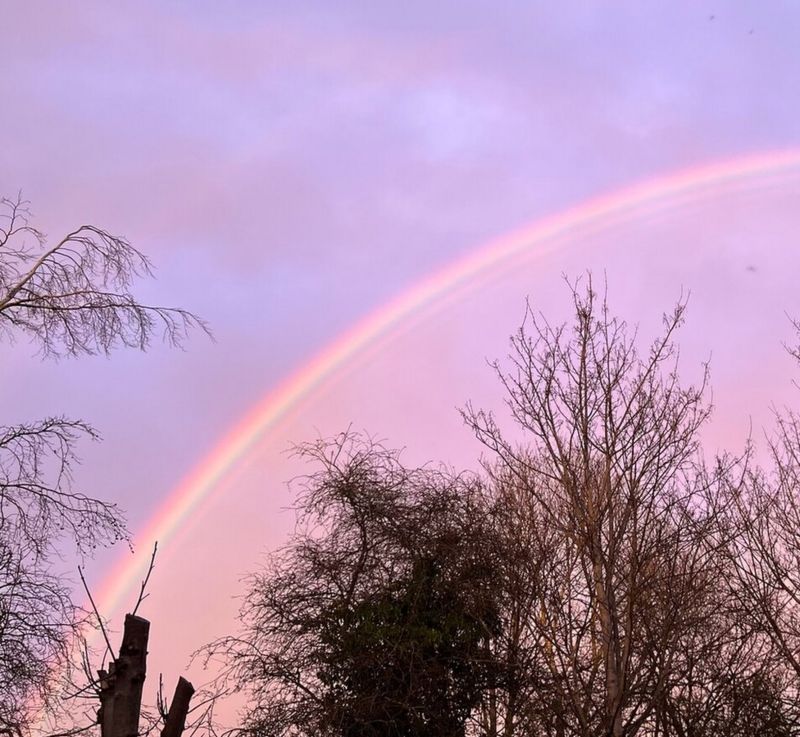 Your pictures of Scotland: 3-10 March - BBC News