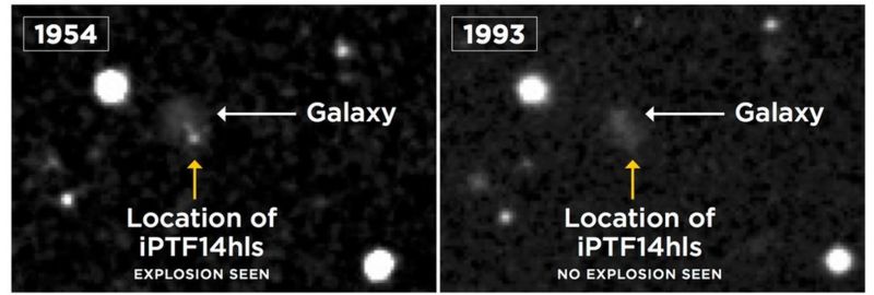 'Zombie' star survived going supernova - BBC News