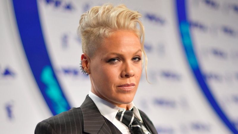 Pink on 'ageing naturally': Singer praised for response to 'troll ...