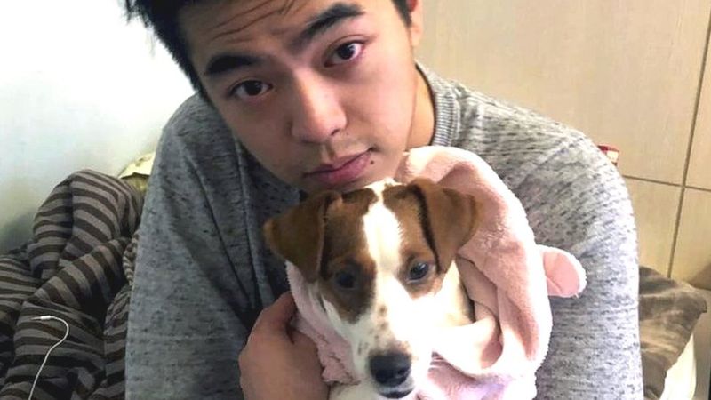 Why Taiwan has become a problem for WHO - BBC News