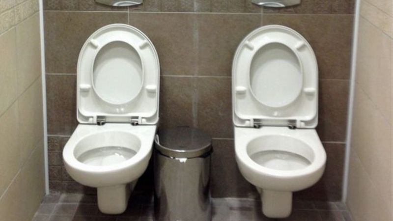 How twinning your toilet is a lifesaver - BBC News