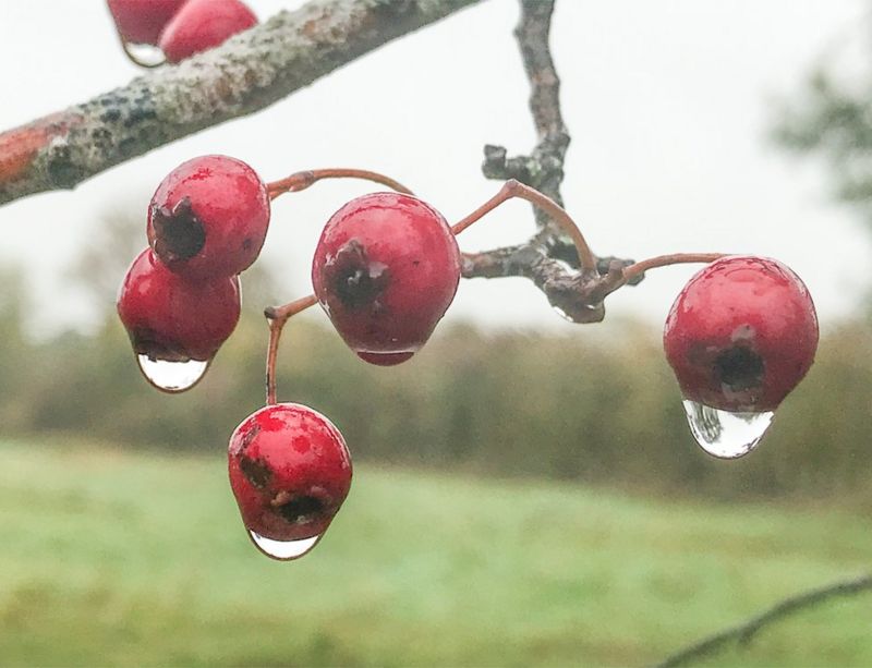 England's Big Picture: 15 - 21 October - BBC News