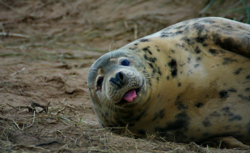 England's Big Picture: 21-27 November - BBC News