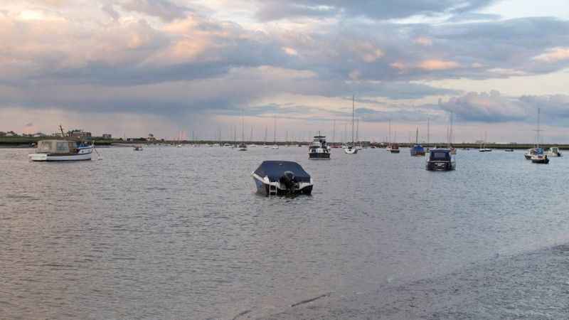 Scientists find cocaine in shrimps in Suffolk rivers - BBC News