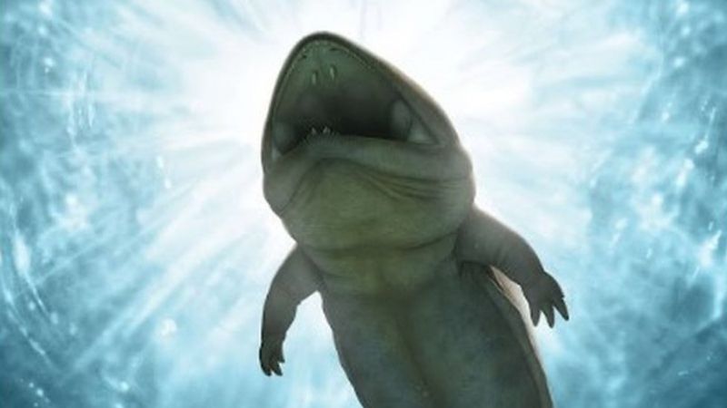 Ancient lizard-like species discovered in Australia - BBC News