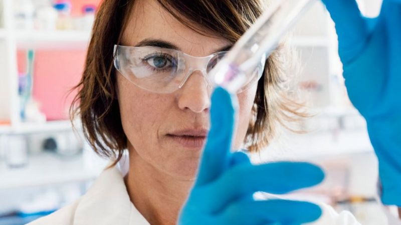 Ni la creatividad está a la derecha ni la lógica a la izquierda: el ...