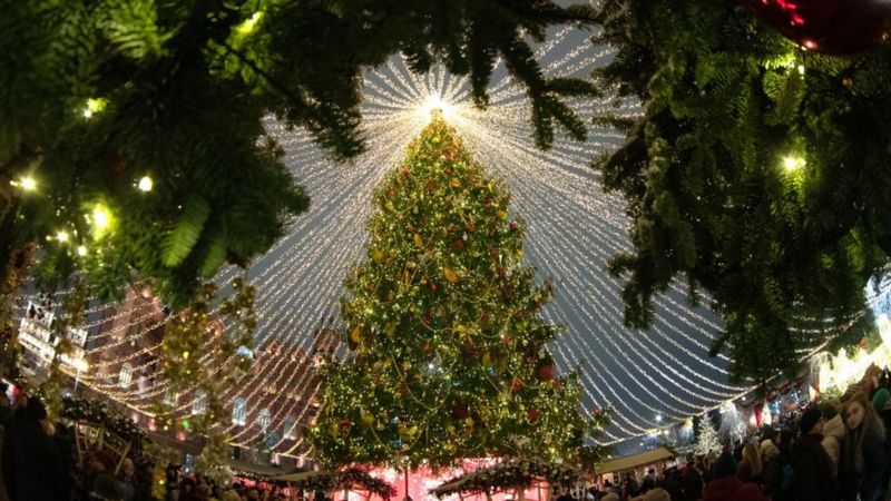 Christmas trees from around the world - BBC Newsround