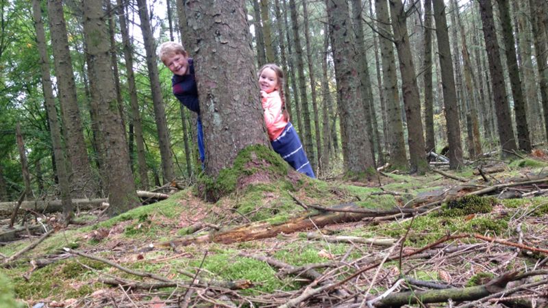 Your pictures of Scotland: 9 - 16 October - BBC News