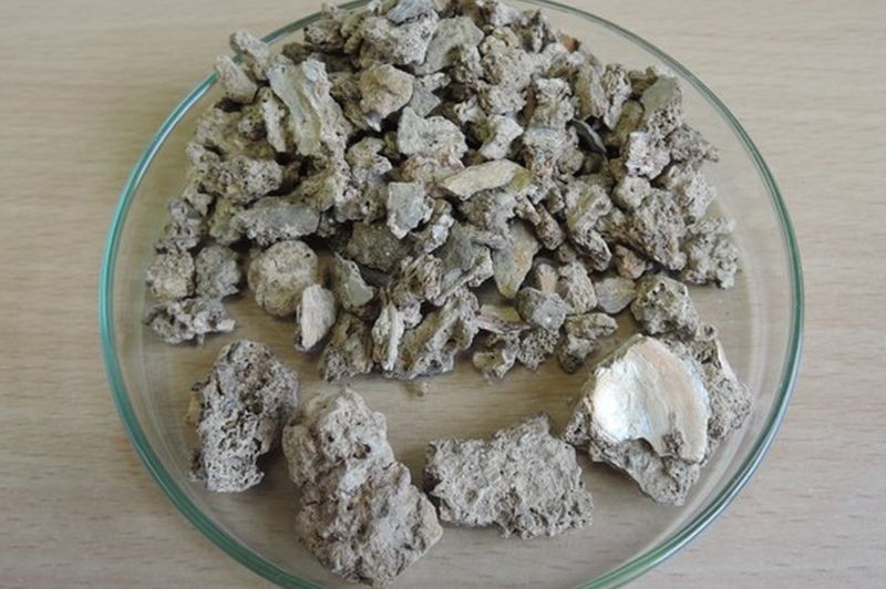 Fossilised dung clue to secret lives of 'pets' in Iron Age - BBC News