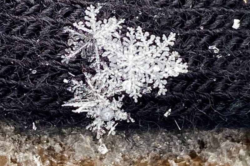 UK weather: Snow across England and Scotland in pictures - BBC News