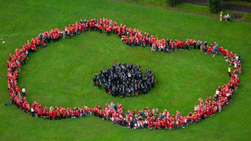 Giant poppies painted on roundabouts and fields across Doncaster - BBC News