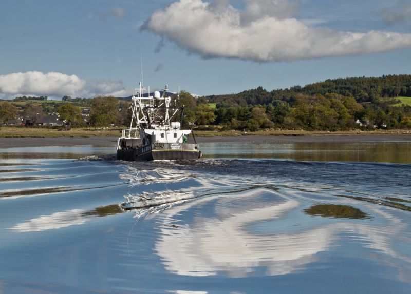 In pictures: Capturing the glory of Galloway - BBC News