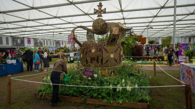 Chelsea Flower Show 2023: Check out these amazing pictures from the ...