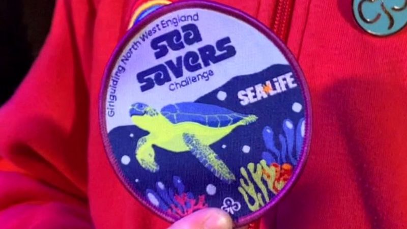 Girlguiding North West England introduces new Sea Savers badge - BBC News