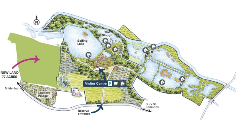 Suffolk Wildlife Trust launches Lackford Lakes appeal - BBC News