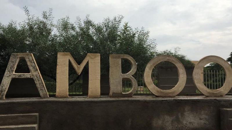 Imala Amboo qabsoo siyaasaarraa gara misoomaatti - BBC News Afaan Oromoo