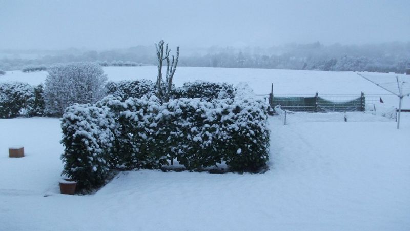 Snow and freezing fog sweep across Scotland - BBC News