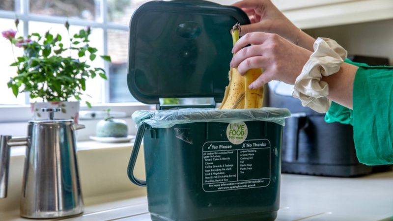 Rochford council needs £400K to start food waste collections - BBC News