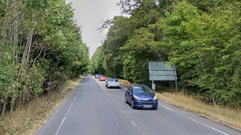 Epping fatal crash: Man arrested after woman crossing road dies - BBC News
