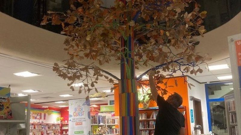 Cardboard tree on display in Barnstaple library - BBC News