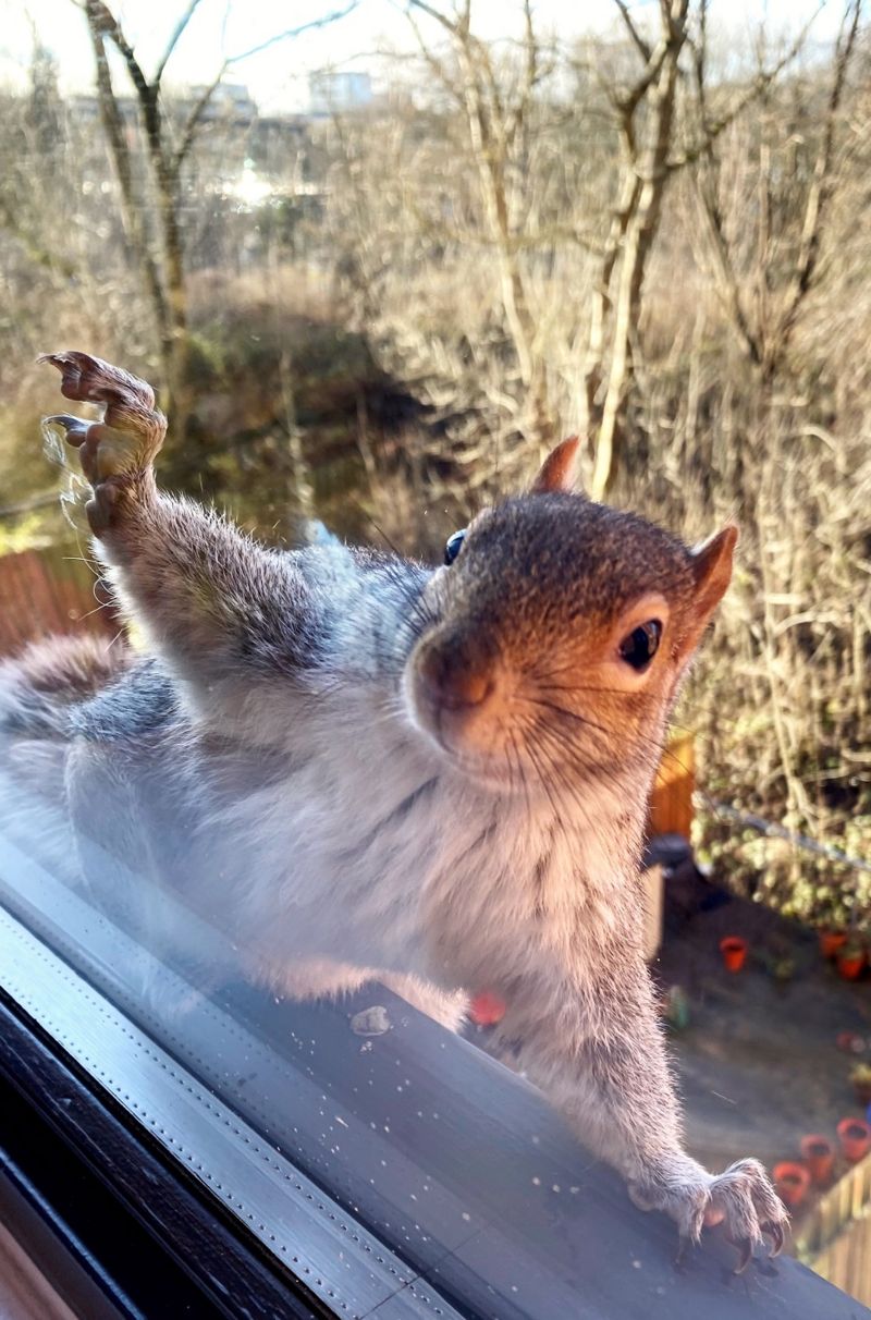 Your pictures of Scotland: 27 January to 3 February - BBC News