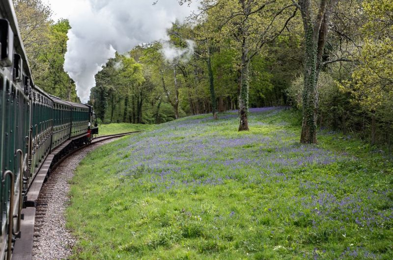 England's Big Picture: 29 April - 5 May - BBC News