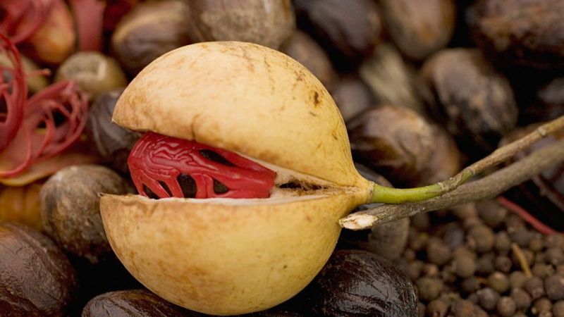 7 alimentos perigosos que devem ser consumidos com cuidado - BBC News ...