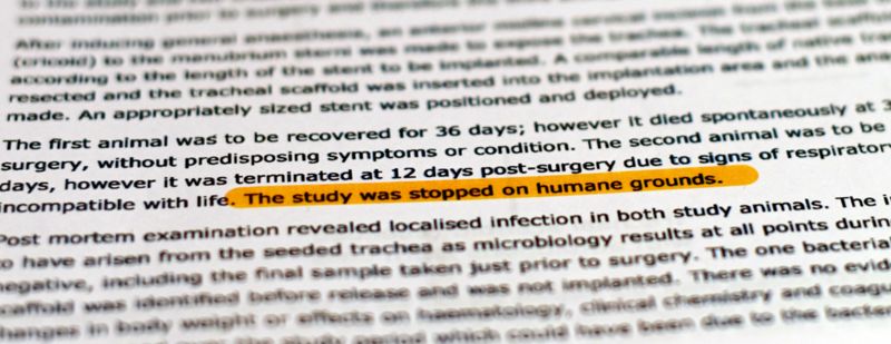 Shauna Davison: 'I might have had her for a bit longer' - BBC News