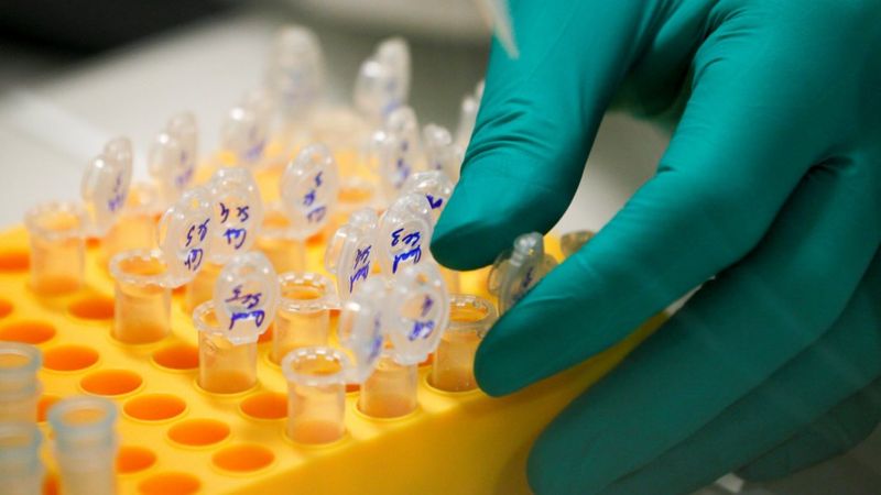 The DNA detective helping to reunite families - BBC News