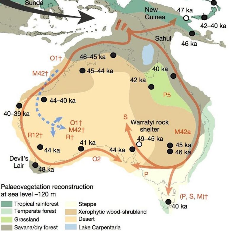 DNA provides window into early Aboriginal history - BBC News