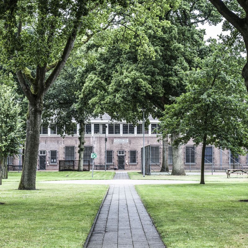 The Dutch prison crisis: A shortage of prisoners - BBC News