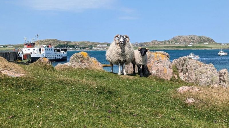 Your pictures of Scotland: 16 to 23 June - BBC News